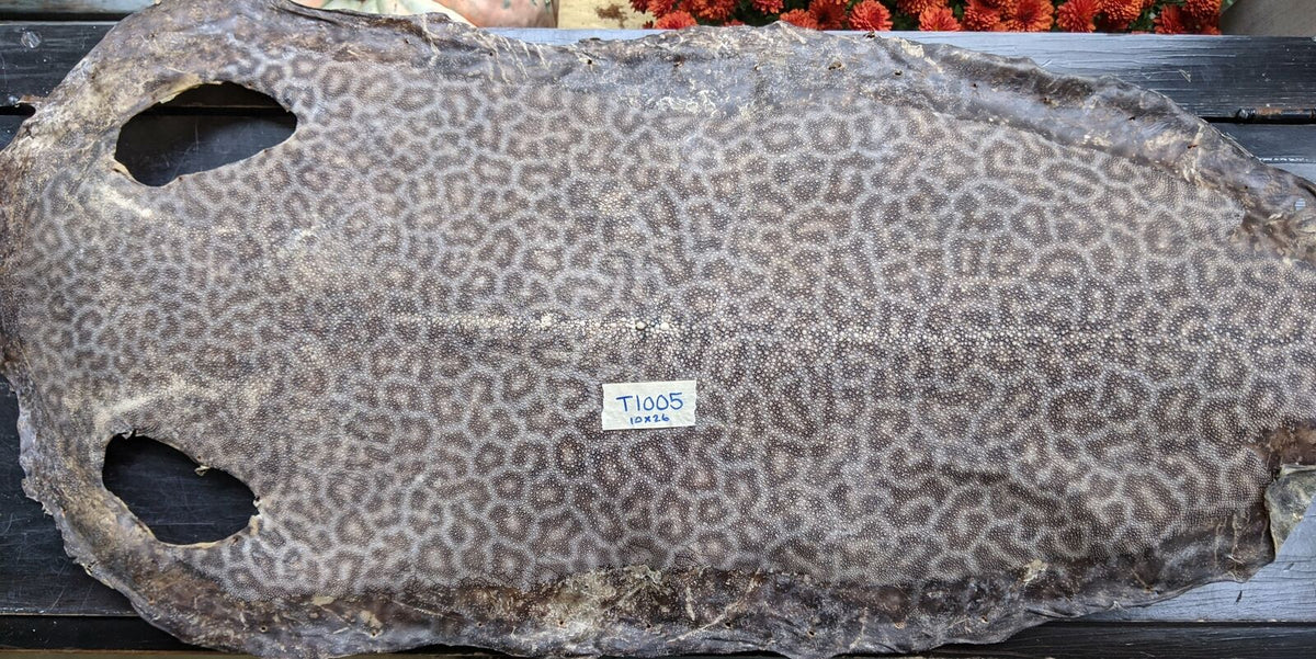 Tigerray Samegawa – Erving Exotic Leather
