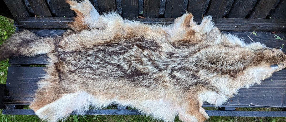 Fox Hide – Erving Exotic Leather