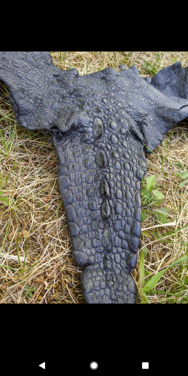 Snapping Turtle leather – Erving Exotic Leather