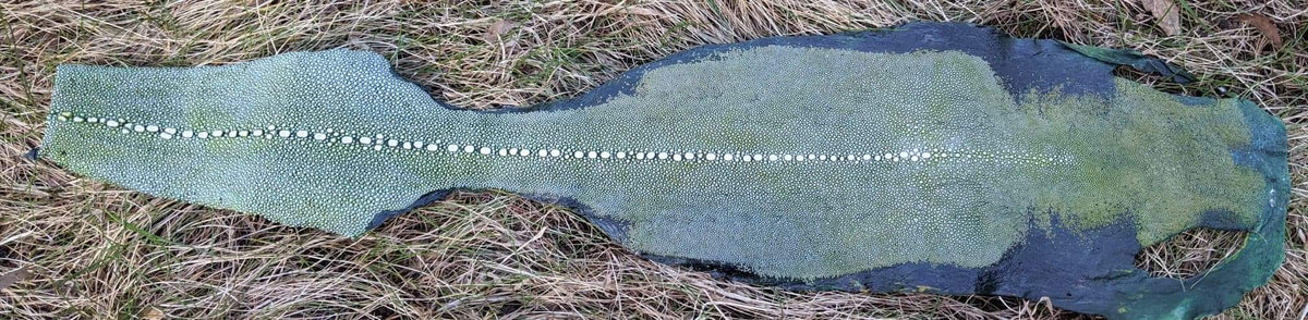 Row Stone Stingray – Erving Exotic Leather